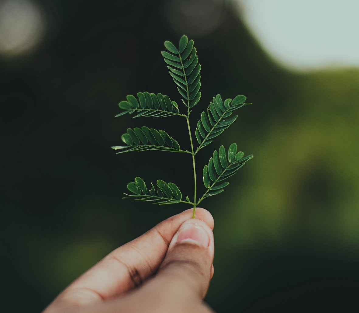 Safety Razors & the Environment: Recycling Blades and Reducing Waste ...